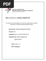 Big Data Project Report | PDF | Big Data | Data Model