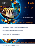 Fish Preservation Methods Explained | PDF | Food Preservation | Foods