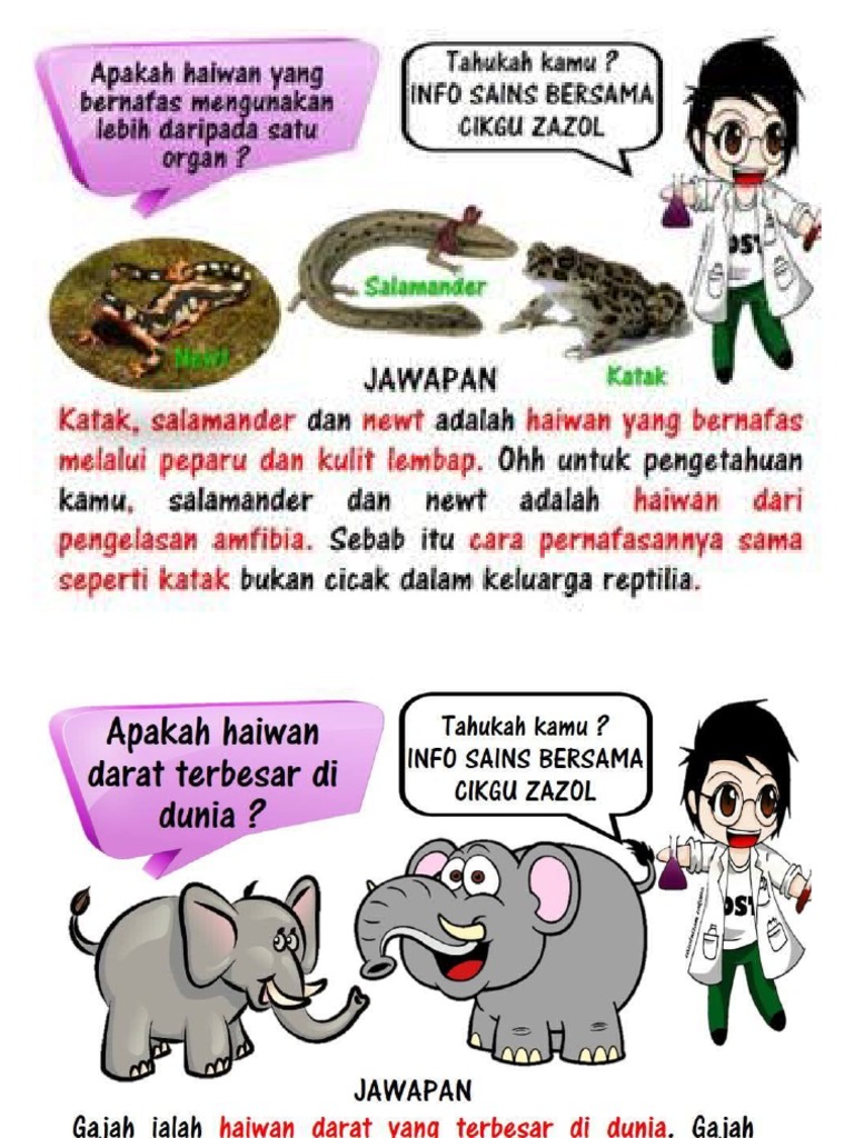 Info Sains | PDF
