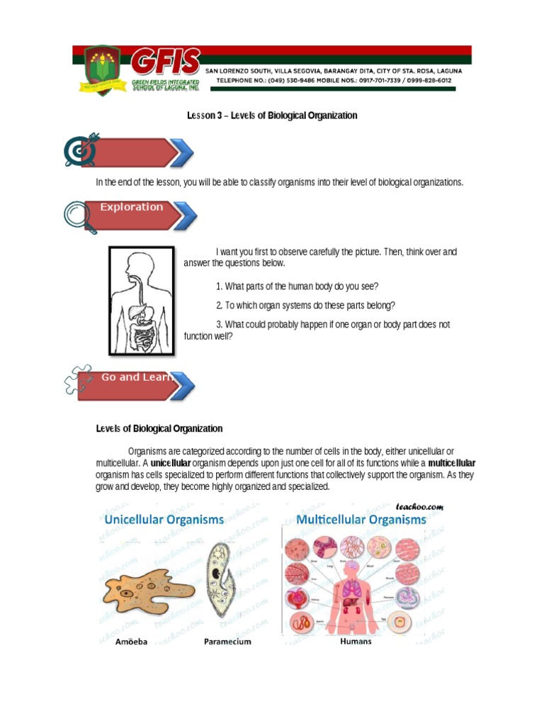 Lesson 3 - Levels of Biological Organization | PDF | Cell (Biology ...