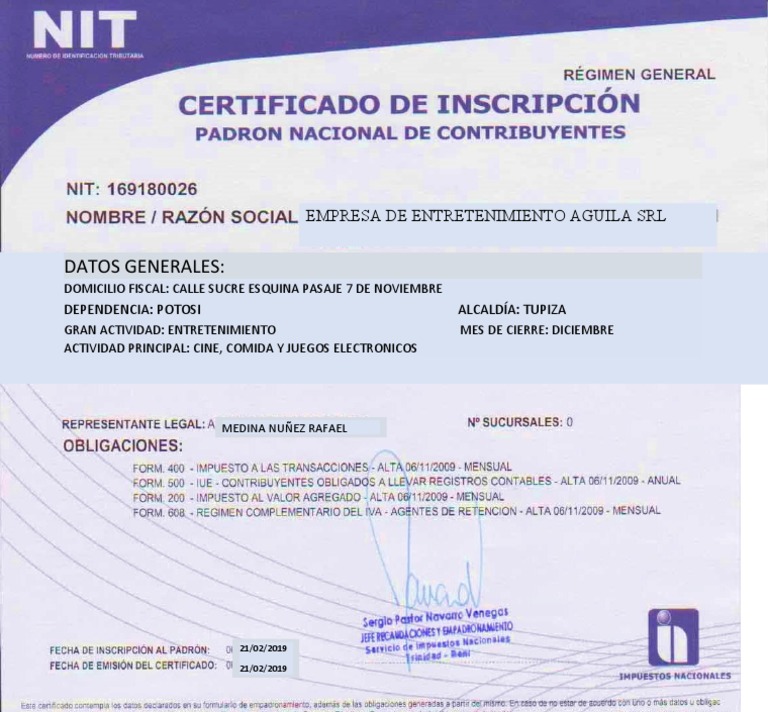 Certificado de Inscripcion Al Nit | PDF