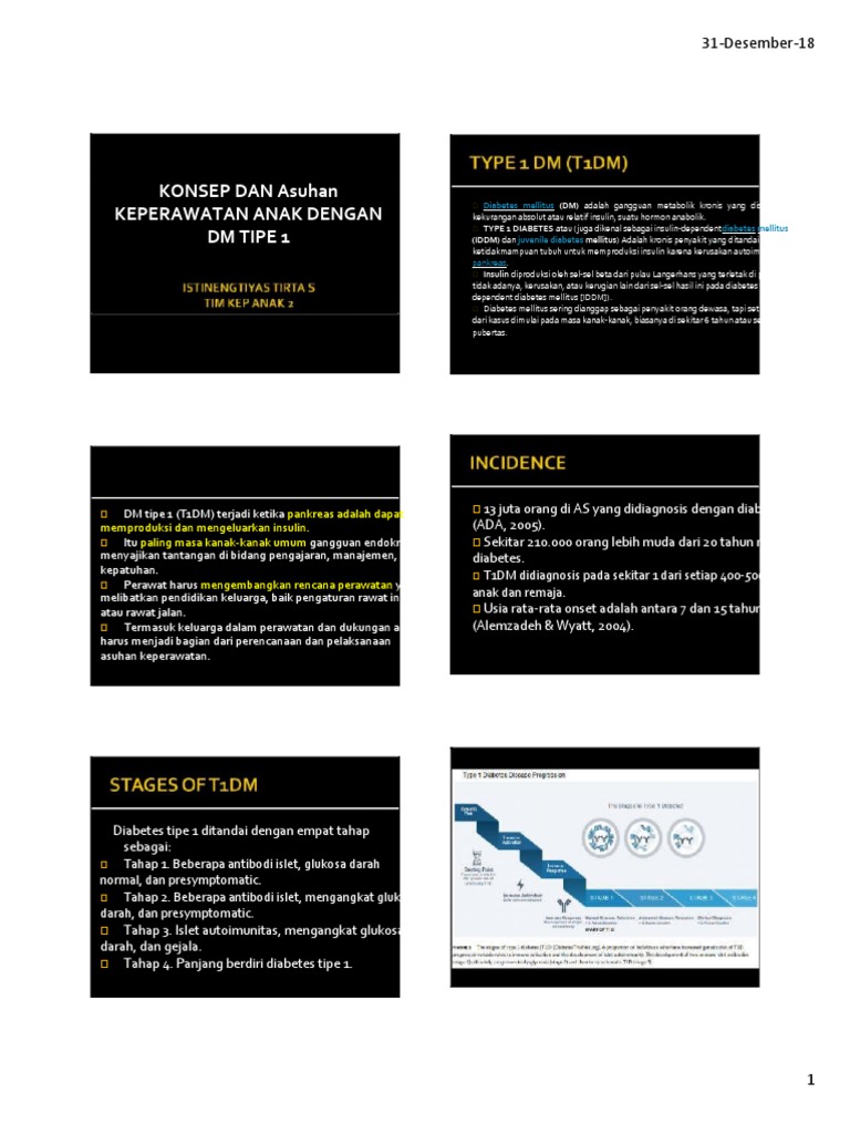 DM TIPE 1.en - Id | PDF