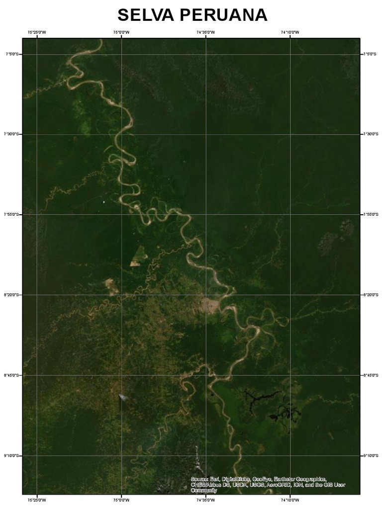 Mapping the Biodiversity of the Peruvian Amazon Rainforest | PDF