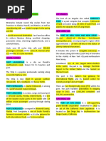 Mamma Mia Script | PDF