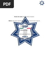 IPH 2020 - Cívica - EDITABLE WORD - ANTOnino 3 | PDF | Policía | Violencia