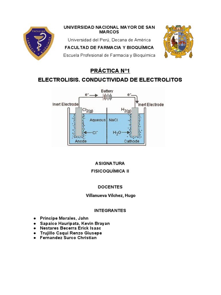 Informe N° 1 - Electrolisis PDF | PDF | Redox | Electrodo