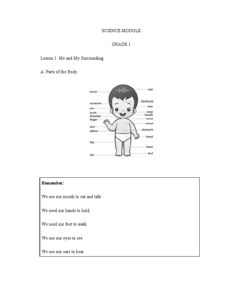 Science Module Grade 1 Lesson 1: Me and My Surrounding A. Parts of The ...