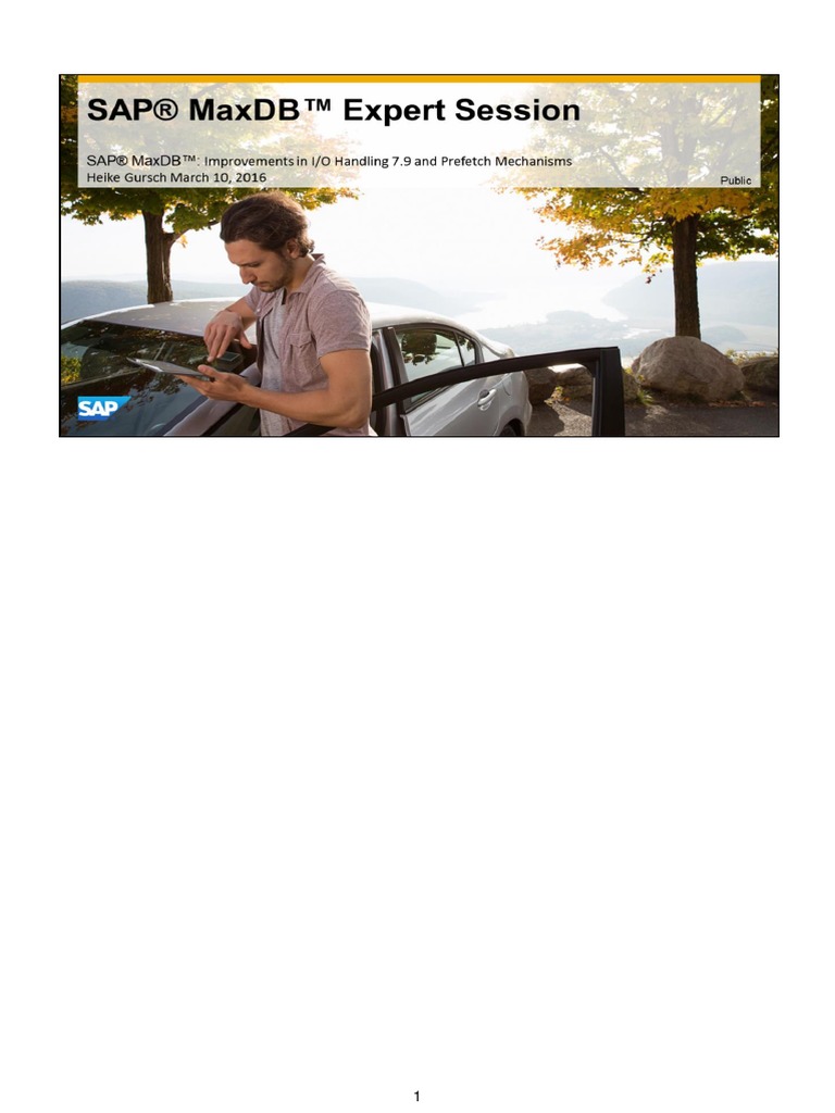 SAP - MaxDB - IO - Handling - Prefetch | PDF | Cache (Computing) | Database Index