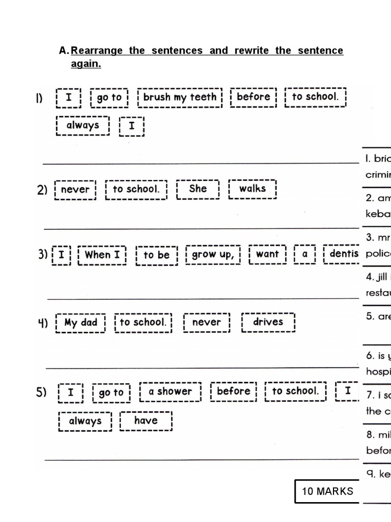 Bi Year 3 Paper 2 | PDF