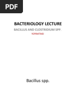 Understanding Skin Normal Flora | PDF | Staphylococcus | Streptococcus