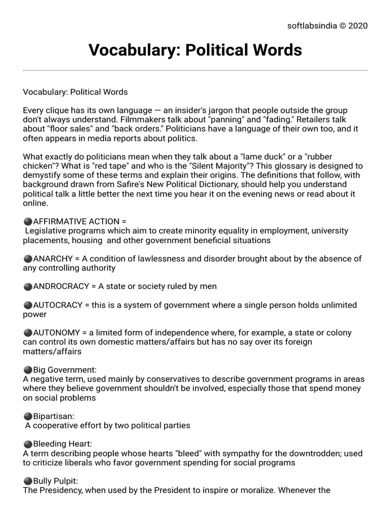 Vocabulary Political Words | PDF | Gerrymandering | Elections