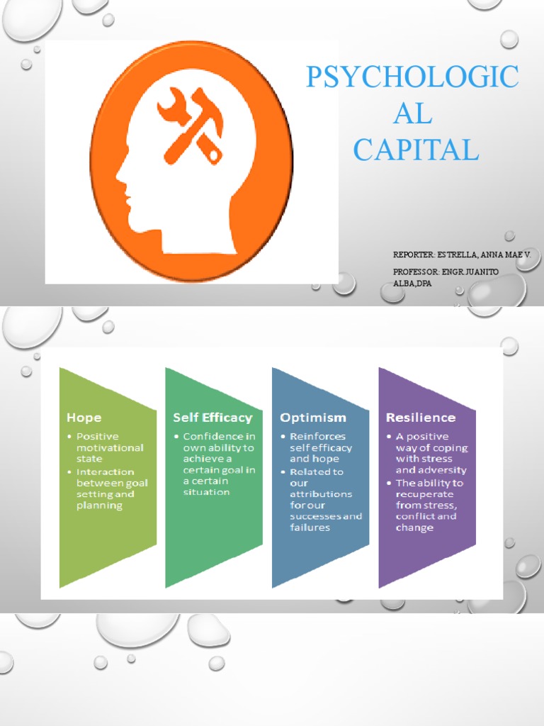 Psychological Capital | PDF | Psychological Resilience | Hope