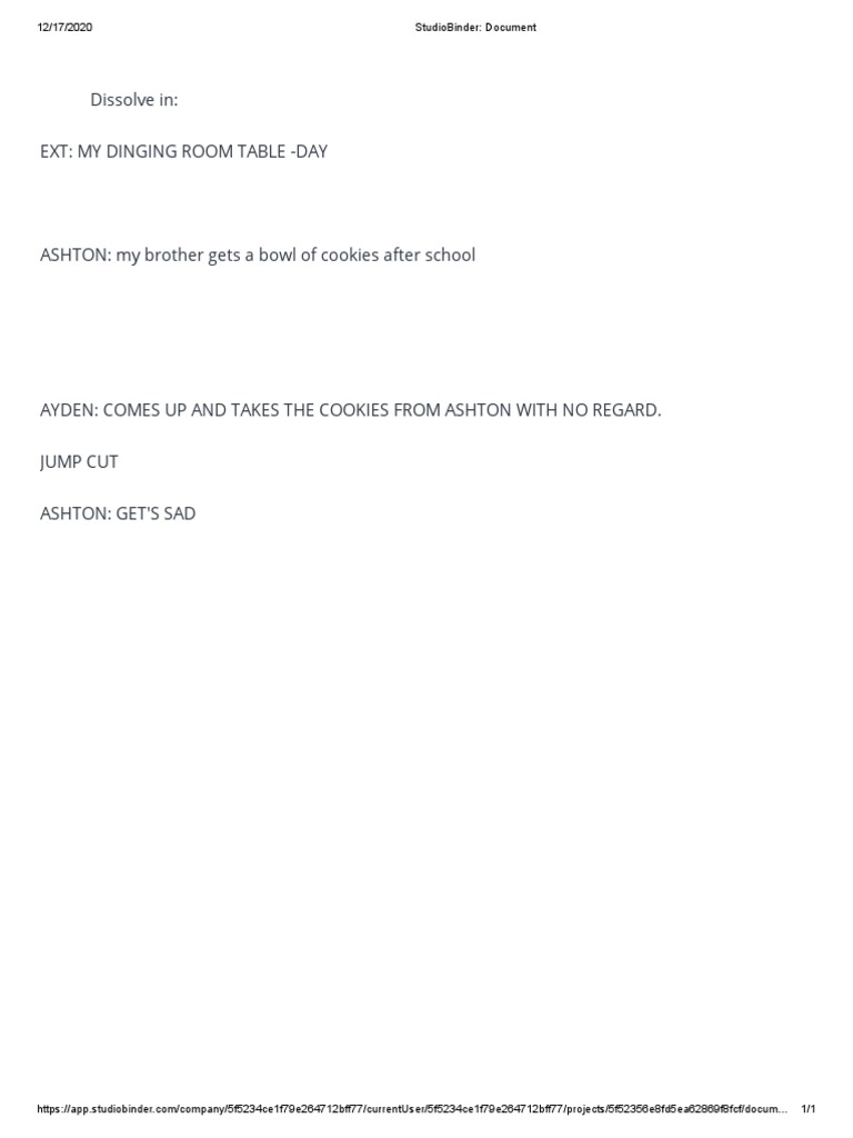 Studiobinder Document | PDF