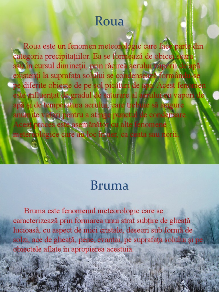 Fenomene Meteorologice | PDF