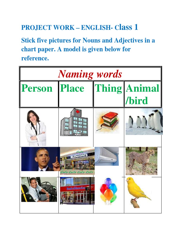 Naming Words: Person Place Thing Animal /bird | PDF