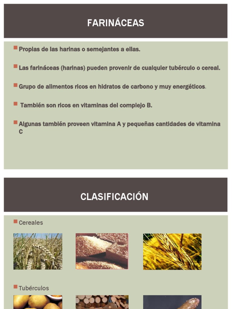 Farináceas | PDF | Maíz | Patata