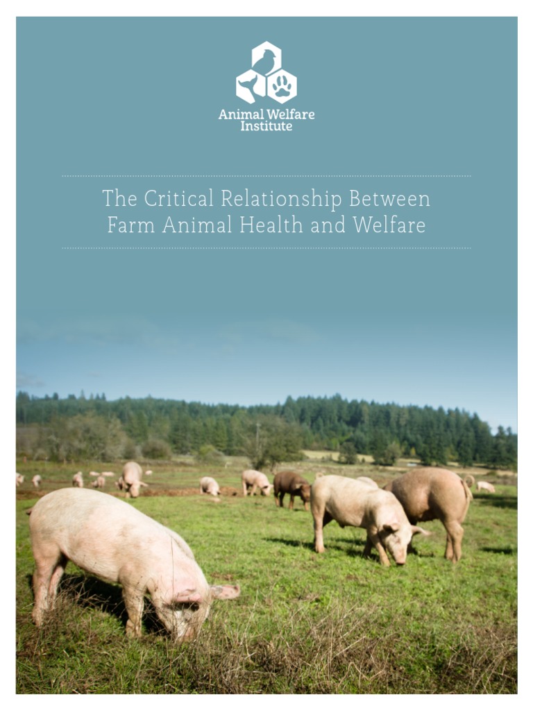 Farm Animal Health and Welfare Insights | PDF | Veal | Animal Welfare