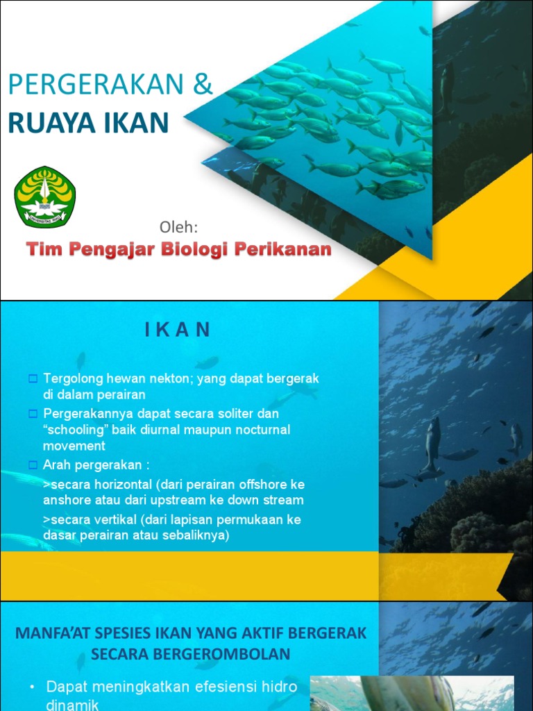 Pergerakan Dan Ruaya | PDF | Ilmu Sosial | Griya & Taman