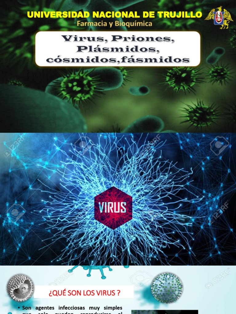 IF-1-Niveles de Organización Subcelular | PDF | Plásmido | Bacteriófago