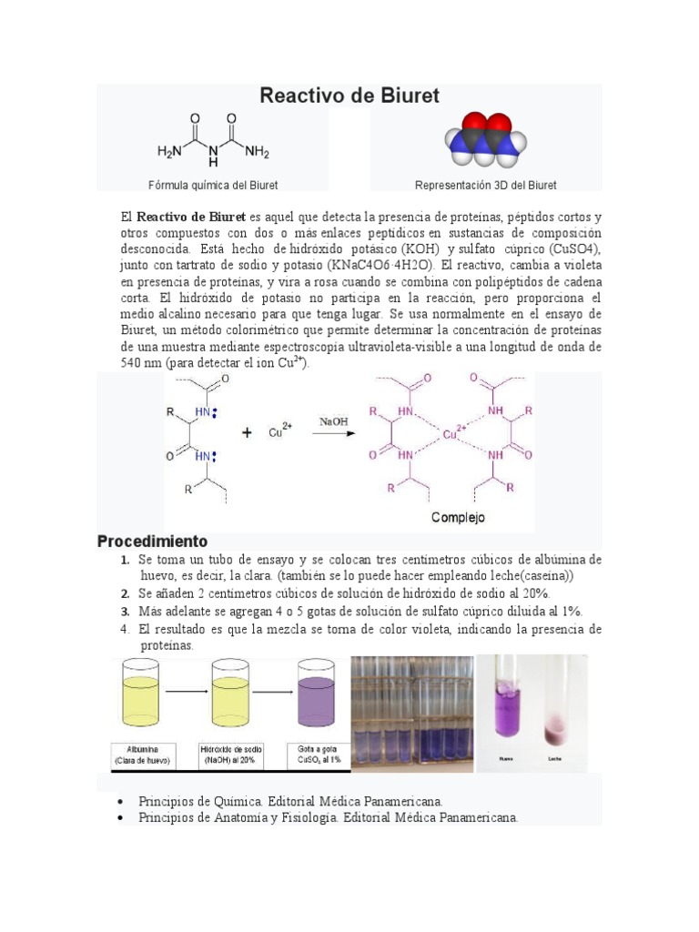 Reacción del Reactivo de Biuret con Proteínas | PDF