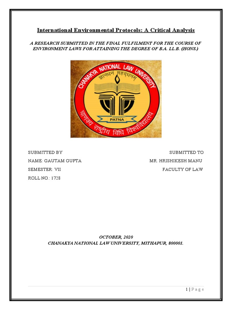 International Environmental Protocols: A Critical Analysis | PDF ...