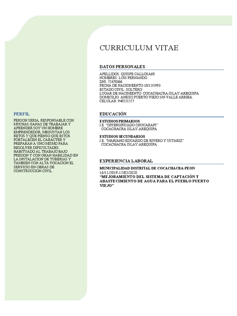 Curriculum Vitae Luis | PDF
