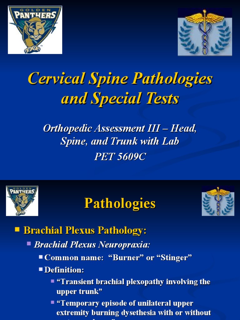 Cervical Spine Pathologies and Special Tests: An In-Depth Look at ...