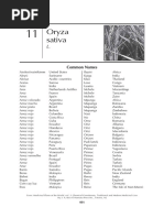 Ahmar: Arabic Color Names Cheat Sheet | PDF