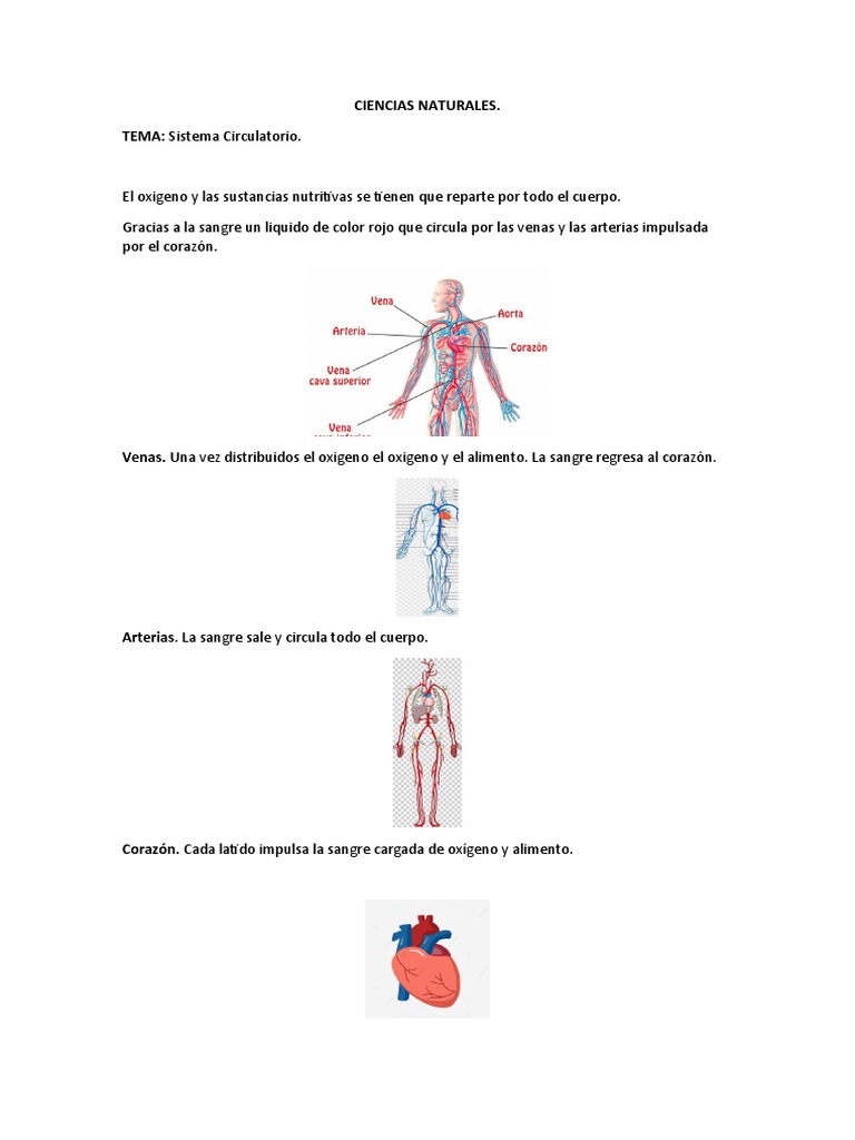 CIENCIAS NATURALES Sistema Circulatorio. | PDF