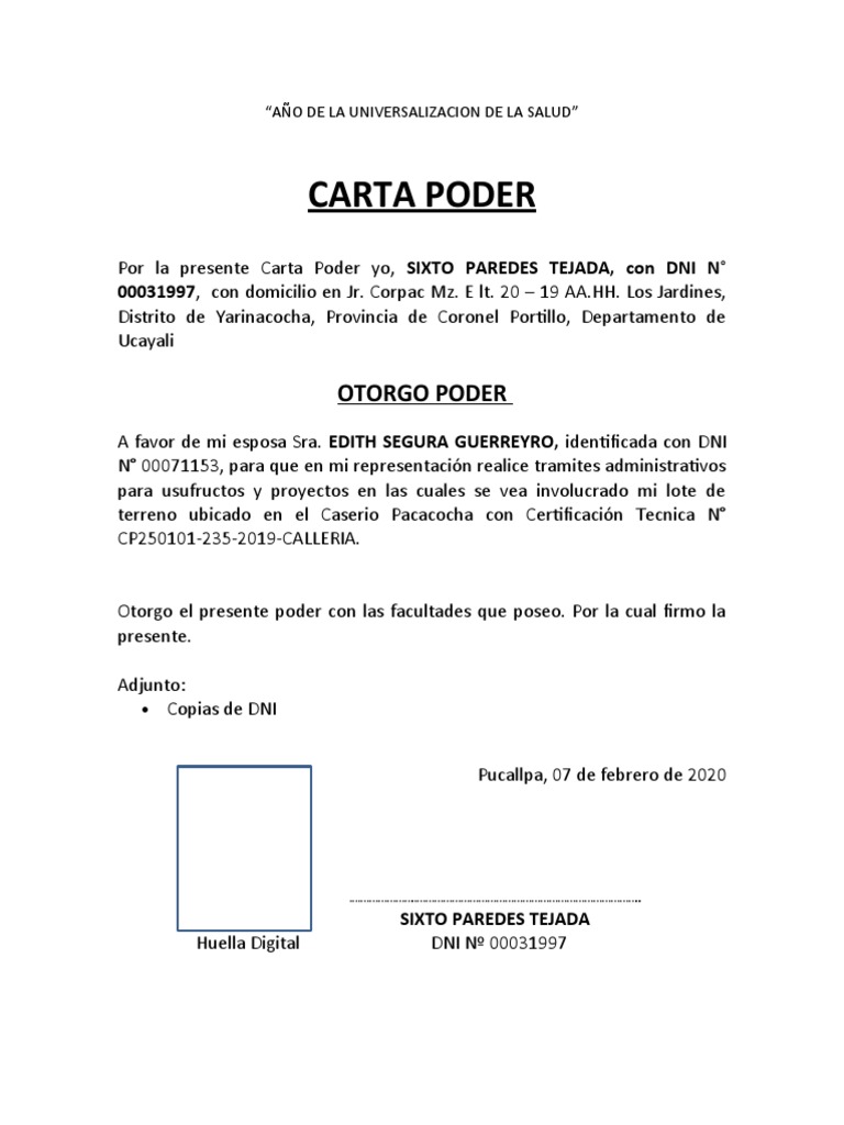 Carta Poder Apoderados | PDF | Gobierno