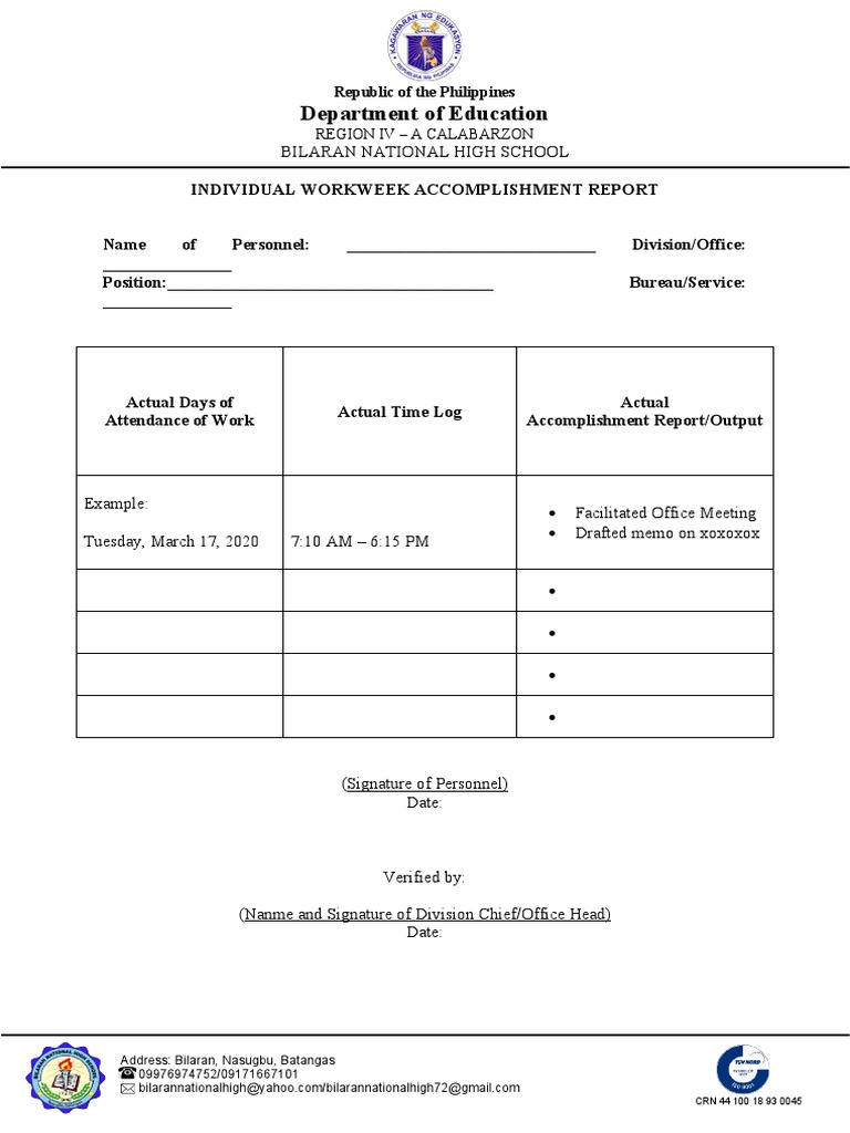 Individual Workweek Accomplishment Report | PDF