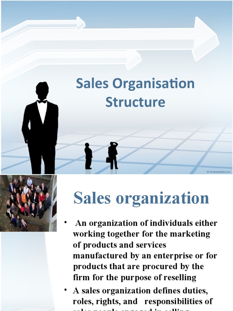 Sales Organization Structure Overview | PDF | Sales | Marketing