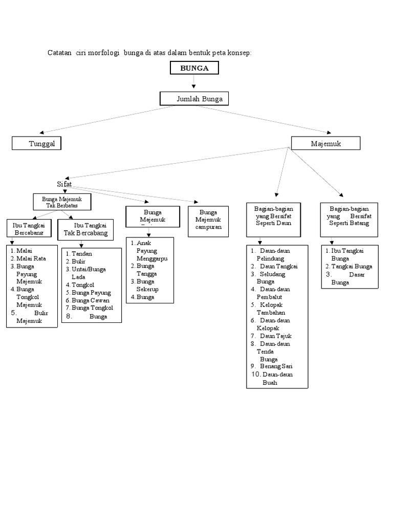 Peta Konsep Bunga | PDF