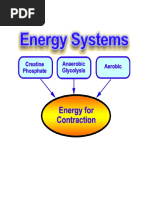 Energy Systems in Basketball Performance | PDF | Cellular Respiration ...