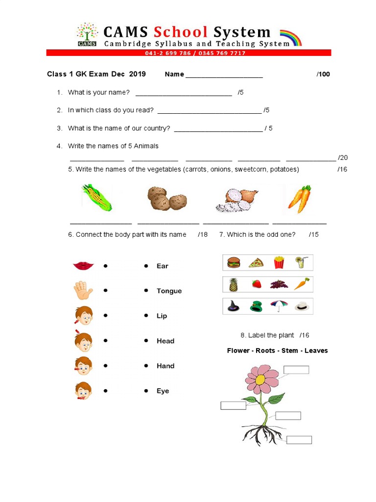 Class 1 GK Exam Dec 2019: Name - /100 | PDF | Science & Mathematics