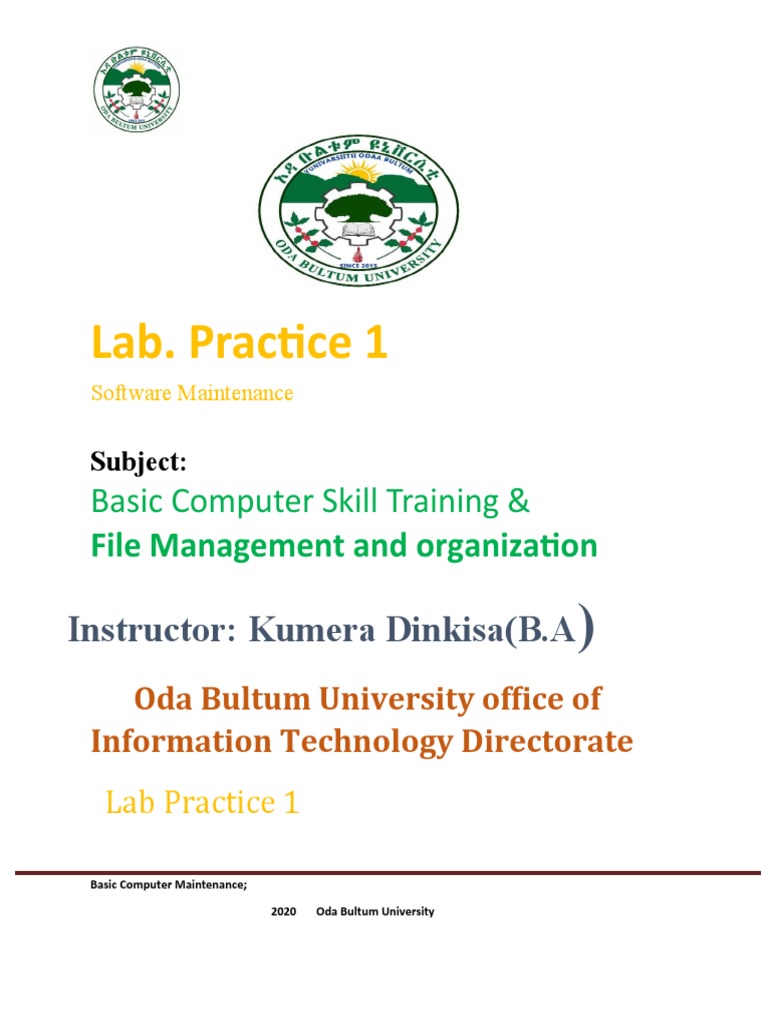 Lab Practice Final | PDF | Personal Computers | Computer File