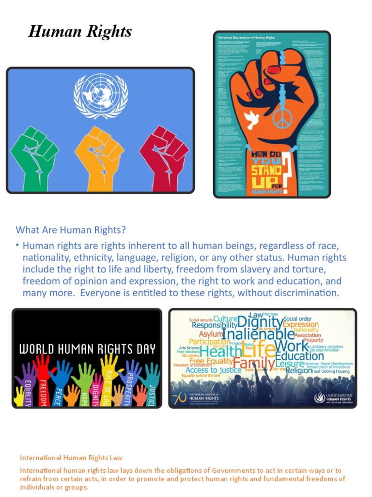 Human Rights Project | PDF | International Human Rights Law | Human Rights