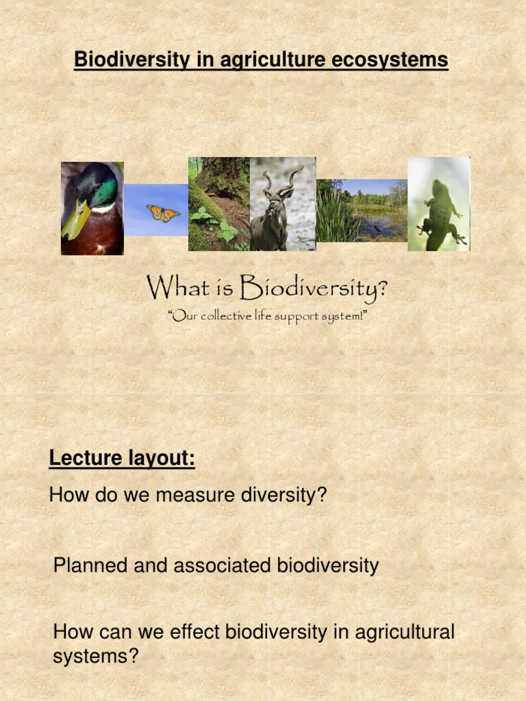 What Is Biodiversity?: Biodiversity in Agriculture Ecosystems | PDF ...