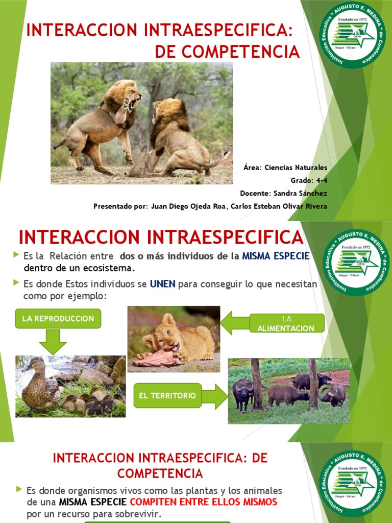 Competencia Intraespecífica en Animales | PDF | Alimentos | Organismos