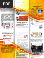 Triptico Orden y Limpieza | PDF