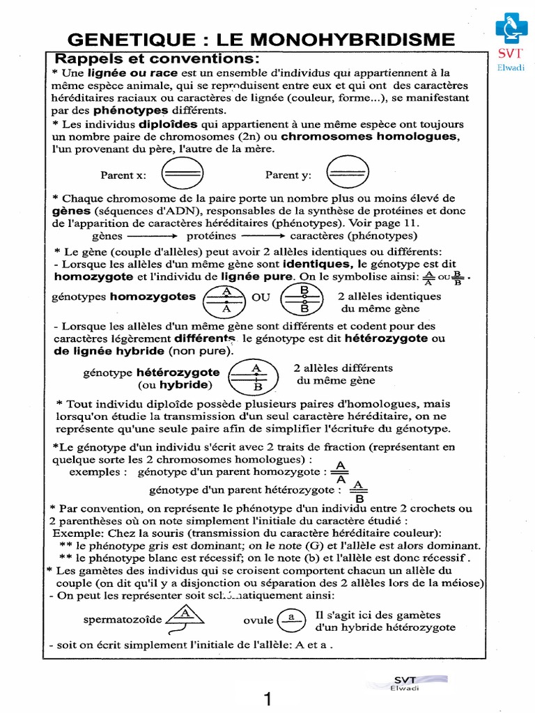 Réviser Le Monohybridisme PDF | PDF