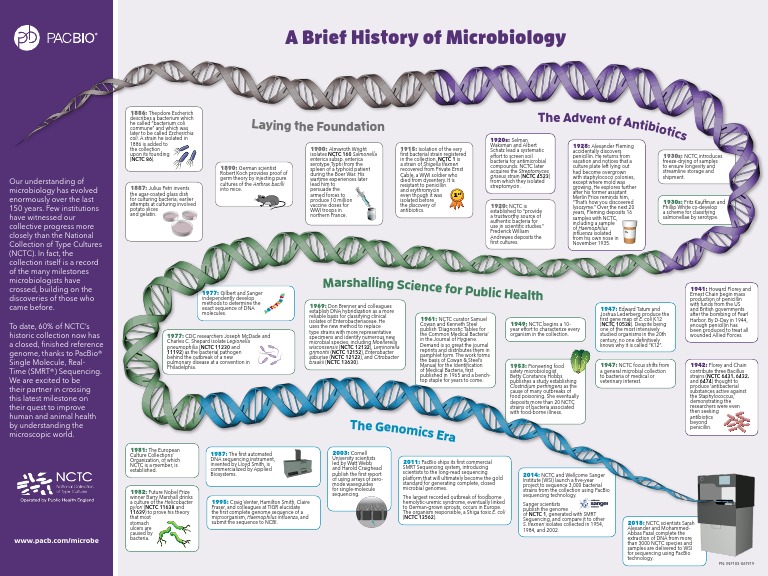 Infographic A Brief History of Microbiology PDF | PDF | Dna Sequencing ...