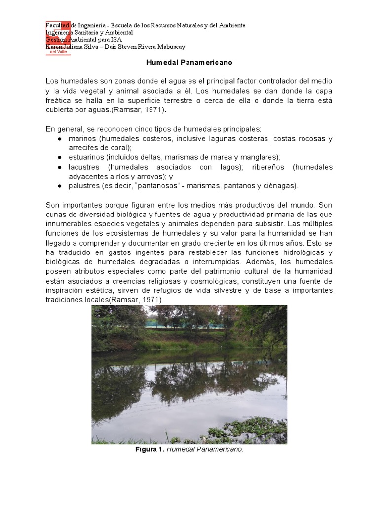 Humedal Panamericano en Cali: Gestión y Biodiversidad | PDF | Humedal ...