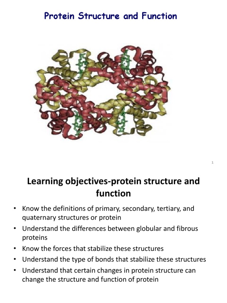 CHON Lecture PDF | PDF | Protein Structure | Beta Sheet