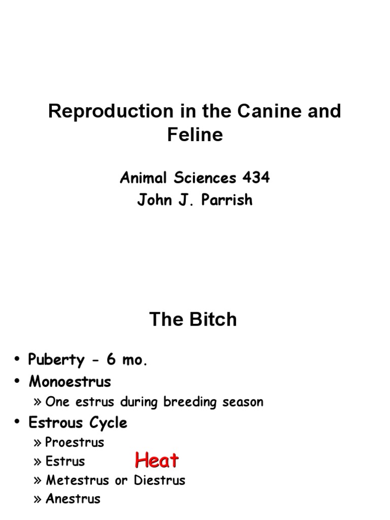 Reproduction in The Canine and Feline: Animal Sciences 434 John J ...