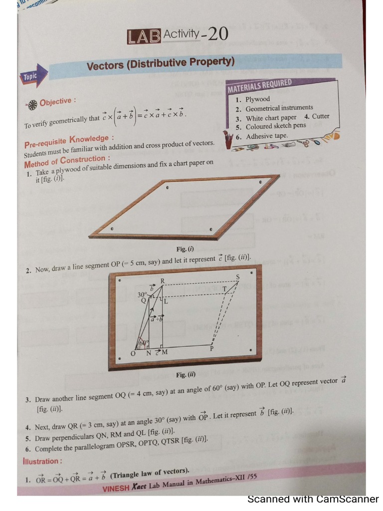 Class 12 Maths Activity | PDF