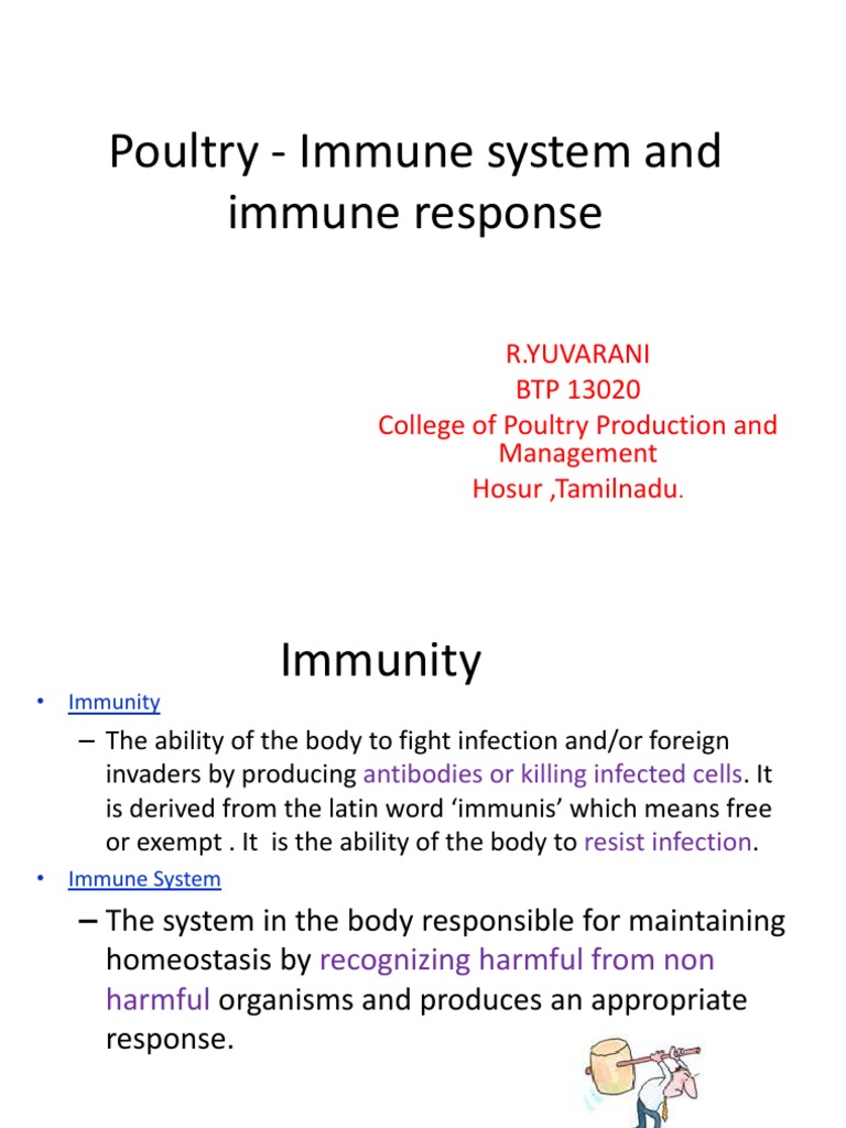 Poultry - Immune System and Immune Response | PDF