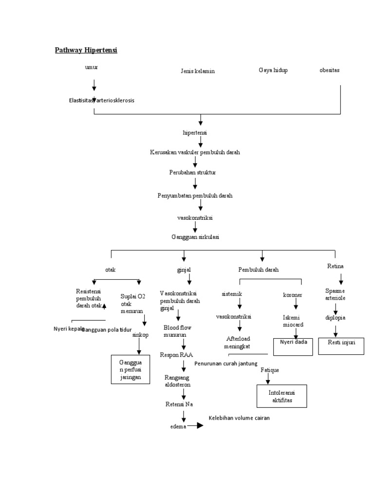 Pathway Hipertensi dan Dampaknya | PDF
