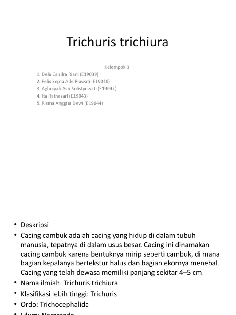 Trichuris Trichiura | PDF