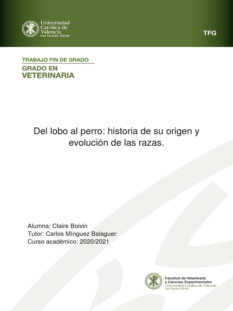 Origen y evolución del perro moderno | PDF | Adn mitocondrial | Perros
